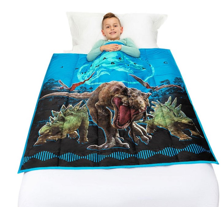 Jurassic World 5 lb. Kids Weighted Blanket, 40" x 60" - Costless ...