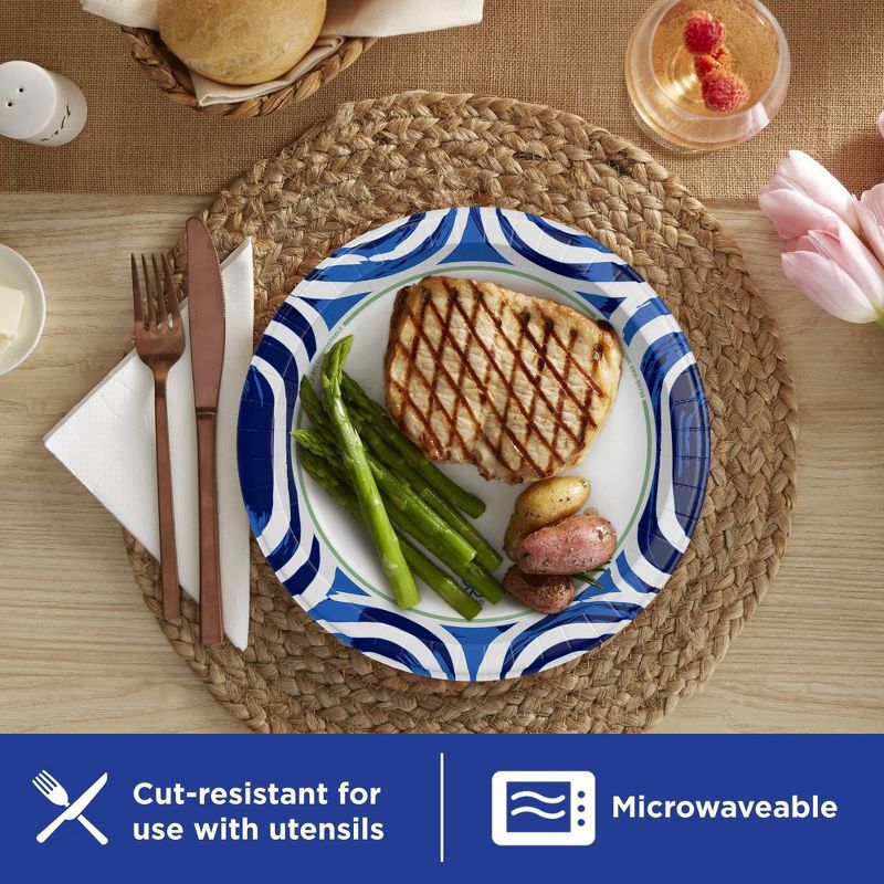 Dixie Ultra 10 1/16 inch Paper Plates, 20 Count - Costless WHOLESALE ...